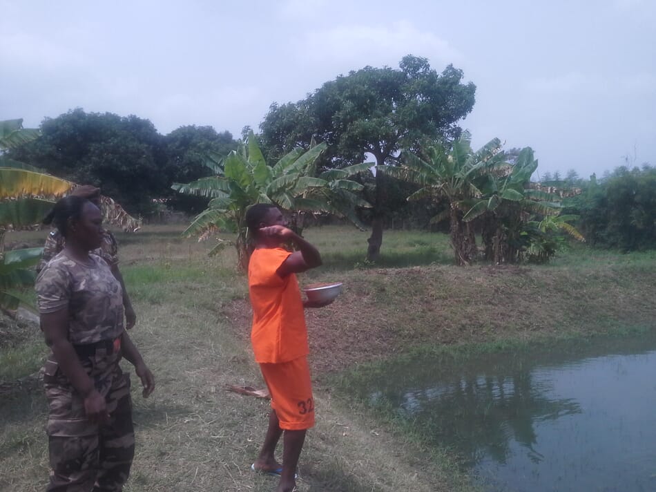 Aquaculture behind bars | The Fish Site