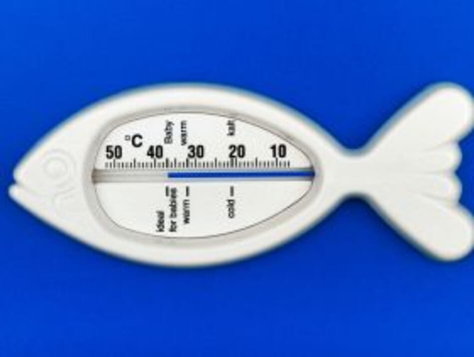 Water quality: a priority for successful aquaculture | The Fish Site