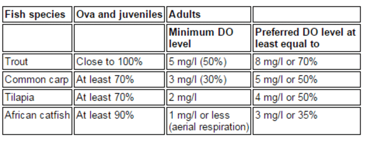 How to achieve good water quality management in aquaculture | The Fish Site