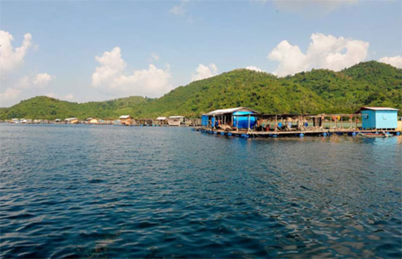 Nigerian university receives equipment donation from Worldfish | The ...