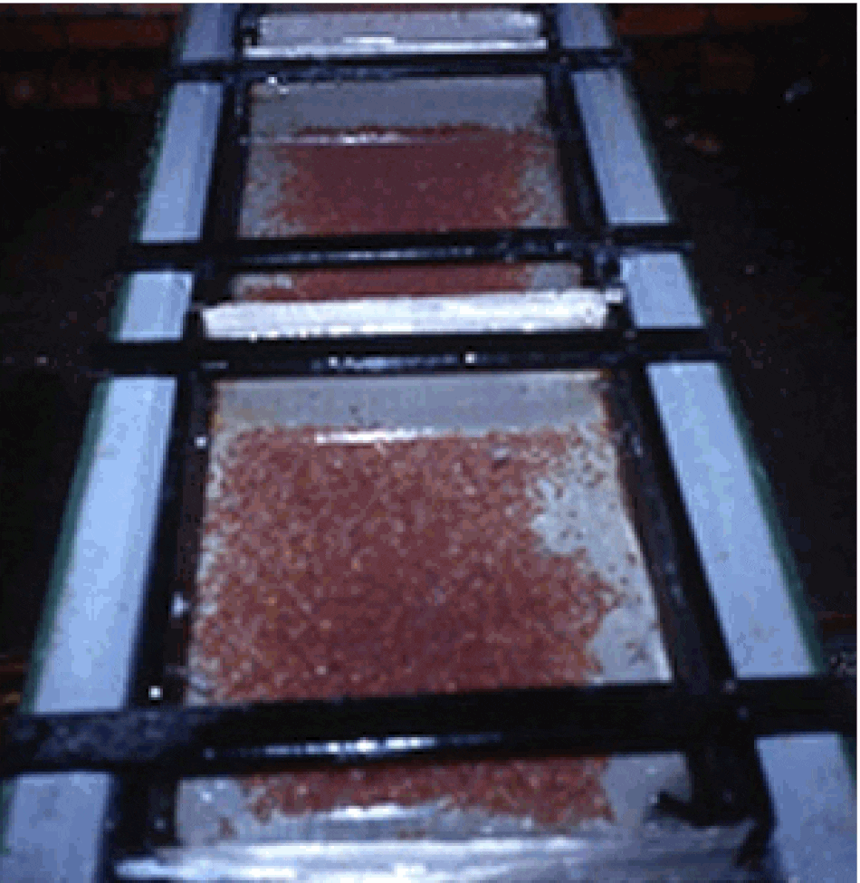 How to farm rainbow trout | The Fish Site