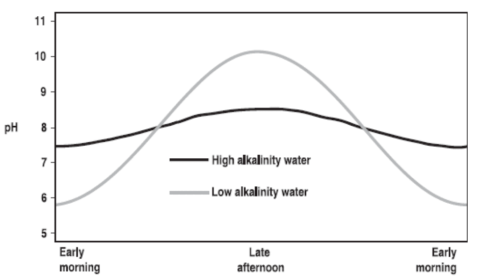 Liming Ponds for Aquaculture | The Fish Site