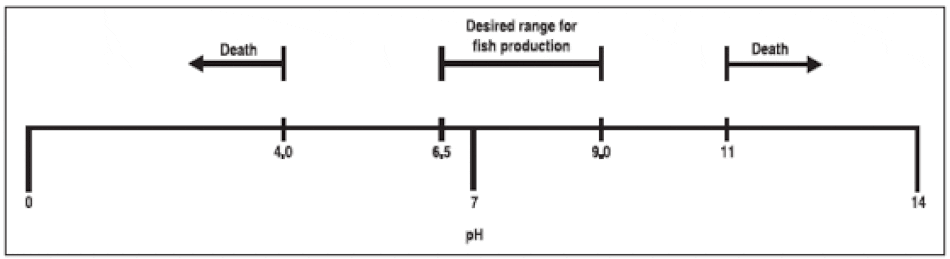 Liming Ponds for Aquaculture | The Fish Site