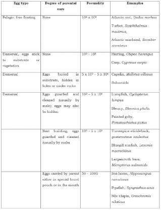 Maturation and spawning in fish | The Fish Site