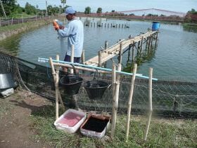 Aquaculture platform Aquaconnect raises $1.1M seed round from Omnivore ...