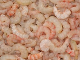 Conviction After US Shrimp Mislabelling Case | The Fish Site