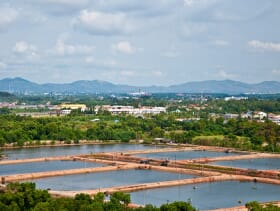 Weekly Overview: $16 Million Aquaculture Development Plan for Odisha ...