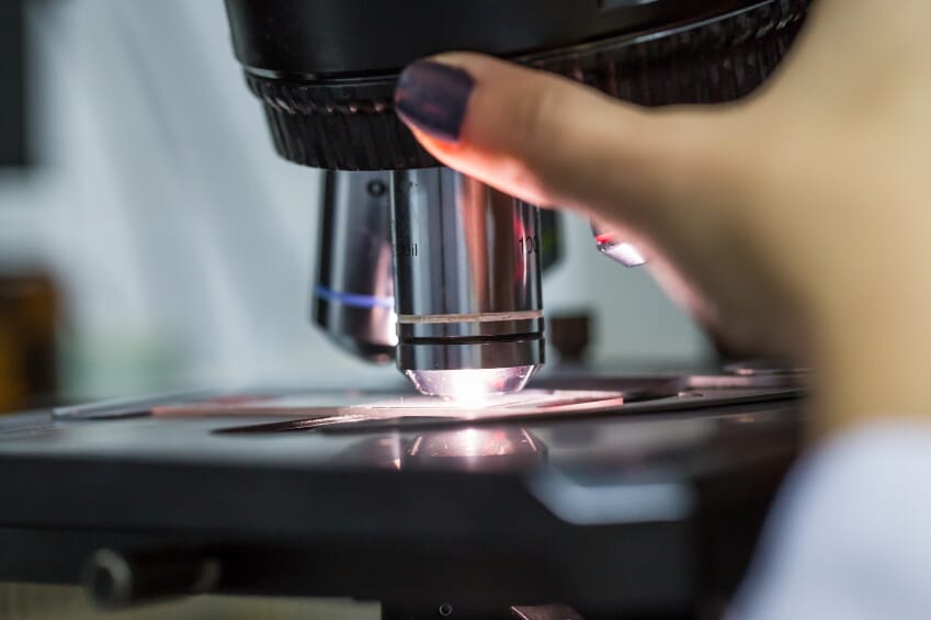 Researchers Use Alaska Pollock Gelatin to Treat Pulmonary Diseases ...
