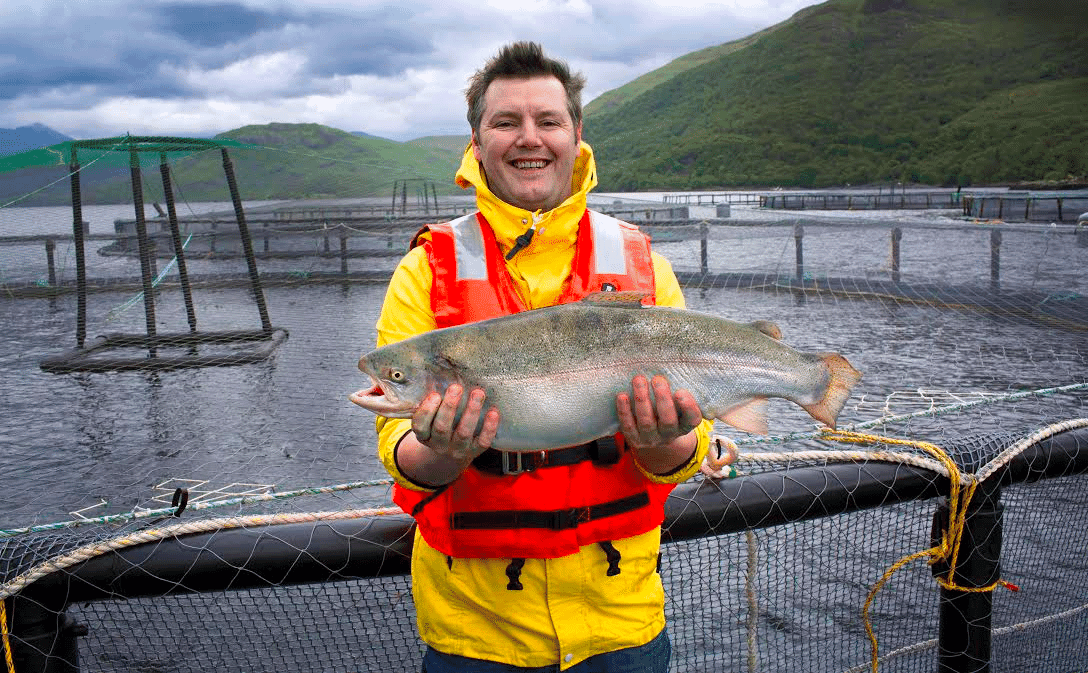 The Search is on for Scotland's Top Sustainable Trout Chef | The Fish Site