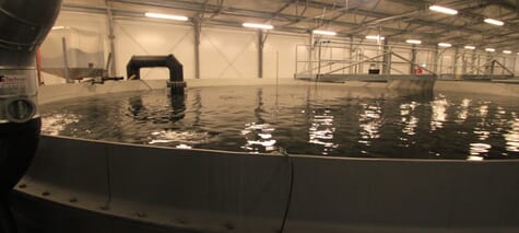 Exciting lineup announced for RASTECH conference | The Fish Site