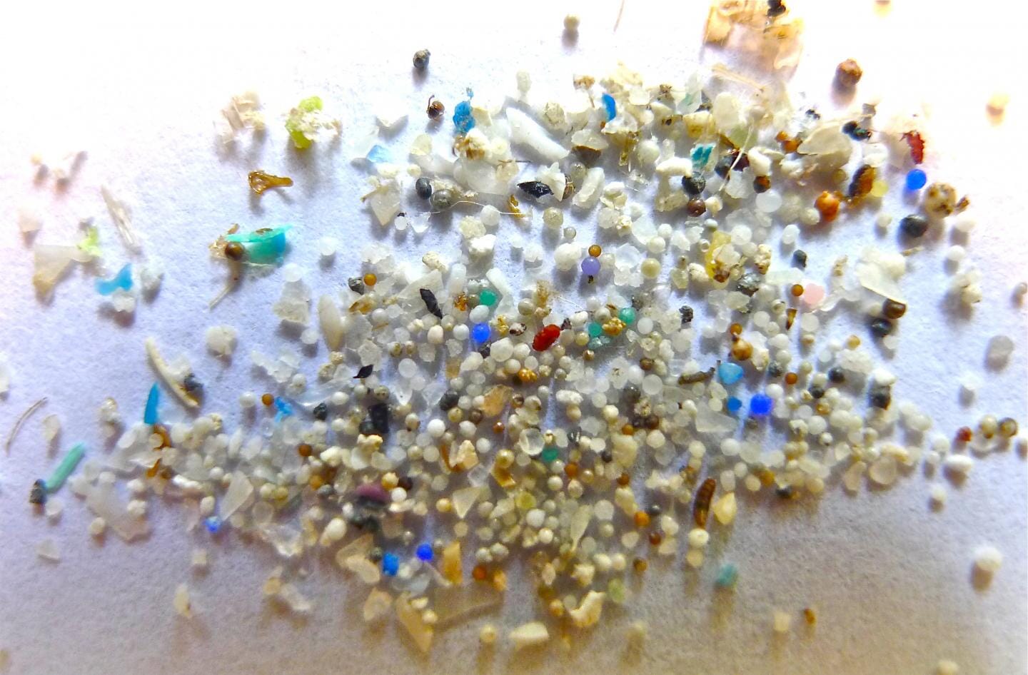 Microplastics on the Seabed Inadequately Mapped | The Fish Site
