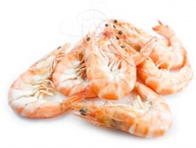 New Shrimp Farm to Open in Iowa | The Fish Site
