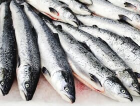 Record year for salmon giant | The Fish Site