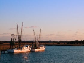 Reducing Bycatch in Shrimp Trawlers: Could Efforts in North Carolina ...
