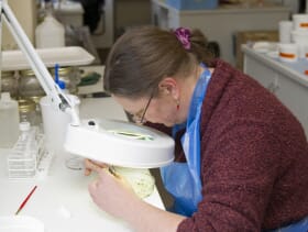$20 Million Grant to Launch Sustainable Ecological Aquaculture Network ...