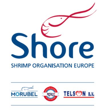 New European Shrimp Group Officially Formed | The Fish Site