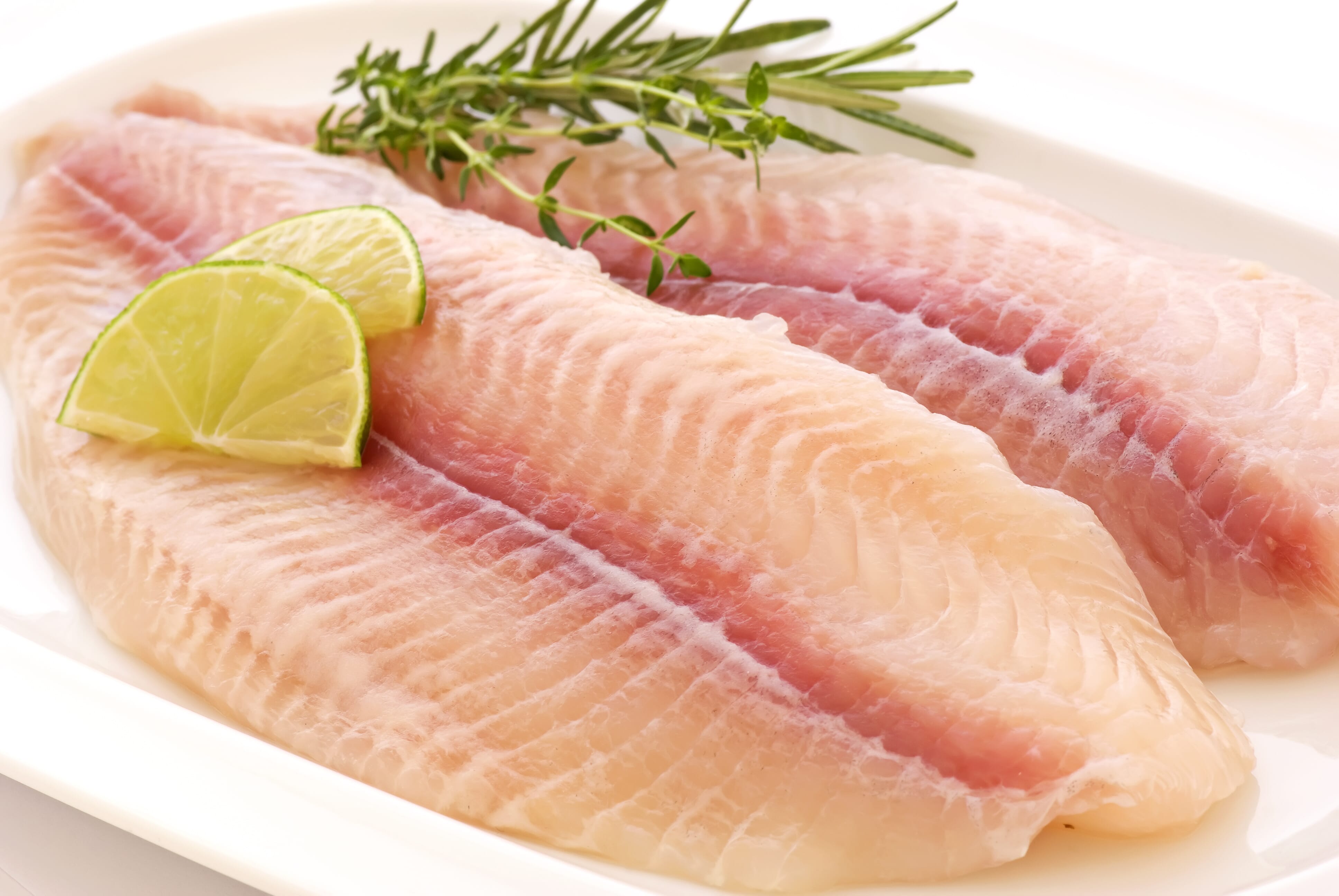 Vietnam Pangasius Exports to Mexico Recover | The Fish Site