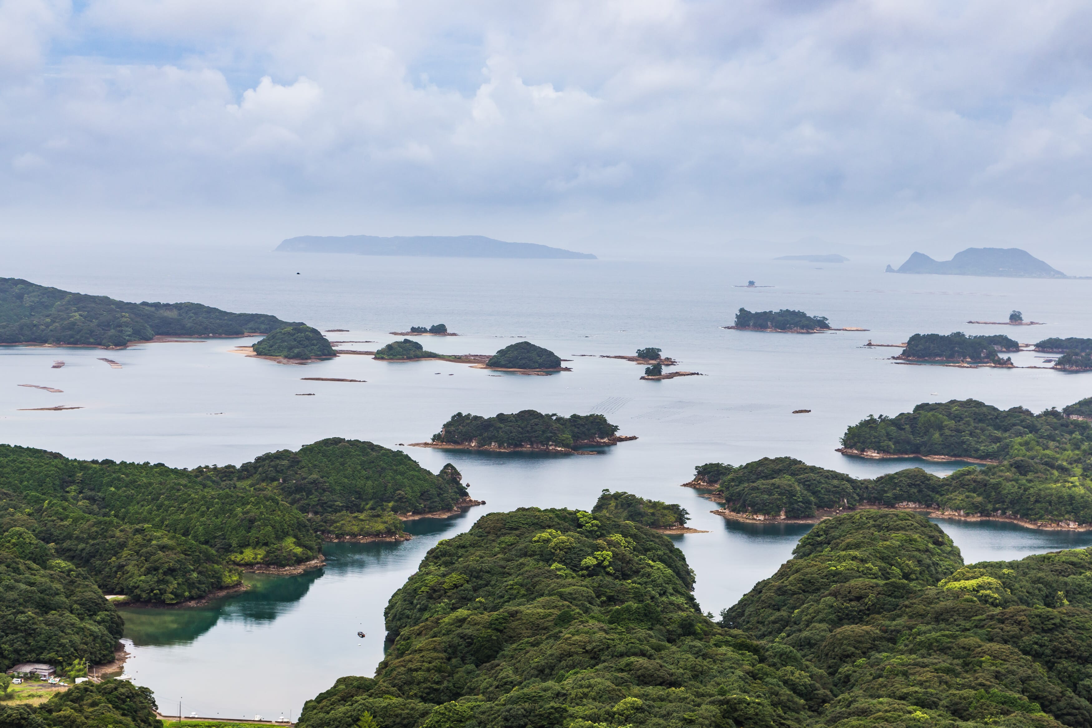 Dainichi: The Face of Japan's Clear Sea | The Fish Site