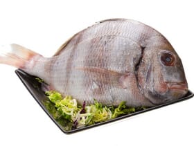 Seafood Availability Guaranteed During Lent | The Fish Site