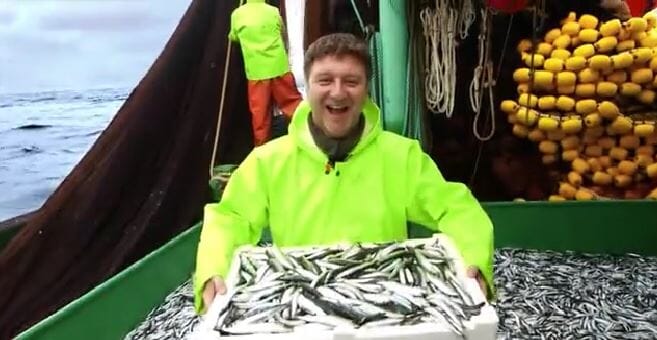 Turks seek to expand bass and bream output | The Fish Site