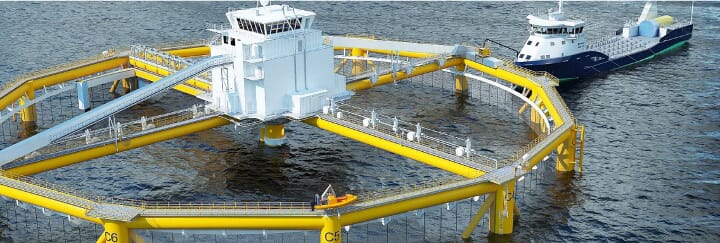 Rope specialist ties up contract for worlds largest fish farm | The ...