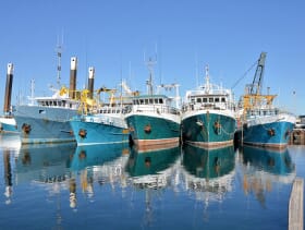 World's Largest and Busiest Fishing Ports Identified in New Study | The ...