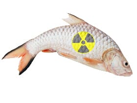 Weekly Overview: Further Fukushima Radiation Leaks Spark Fish ...
