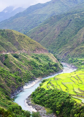 Viet Nam Approves Fish Farming in Paddy Fields Project | The Fish Site