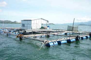 Malaysia, WorldFish Establish Committee to Promote Sustainable ...