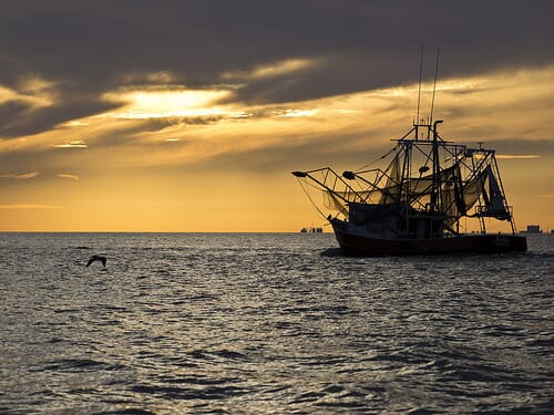 Namibian Fishermen Urged to Install Vessel Monitoring System | The Fish ...