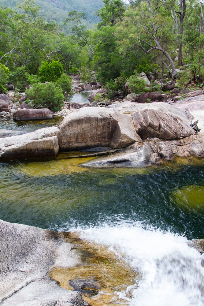New Model Identifies Perfect Habitat for Brook Trout | The Fish Site