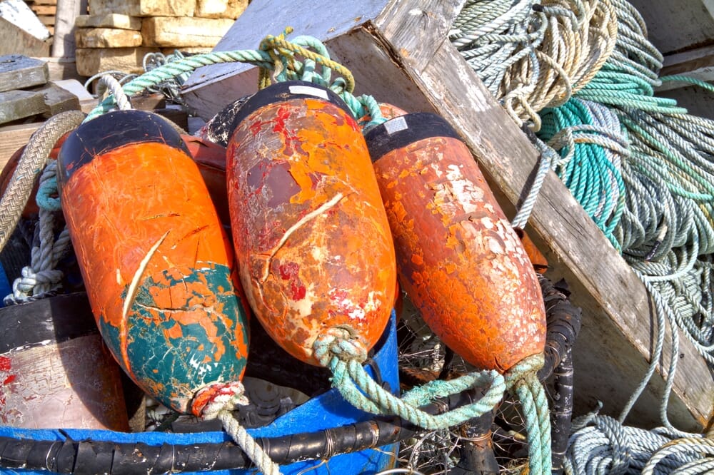 Want to get Rid of Waste Fishing Nets and Rope? | The Fish Site