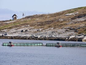 Scottish Aquaculture Could Double Production by 2030 | The Fish Site