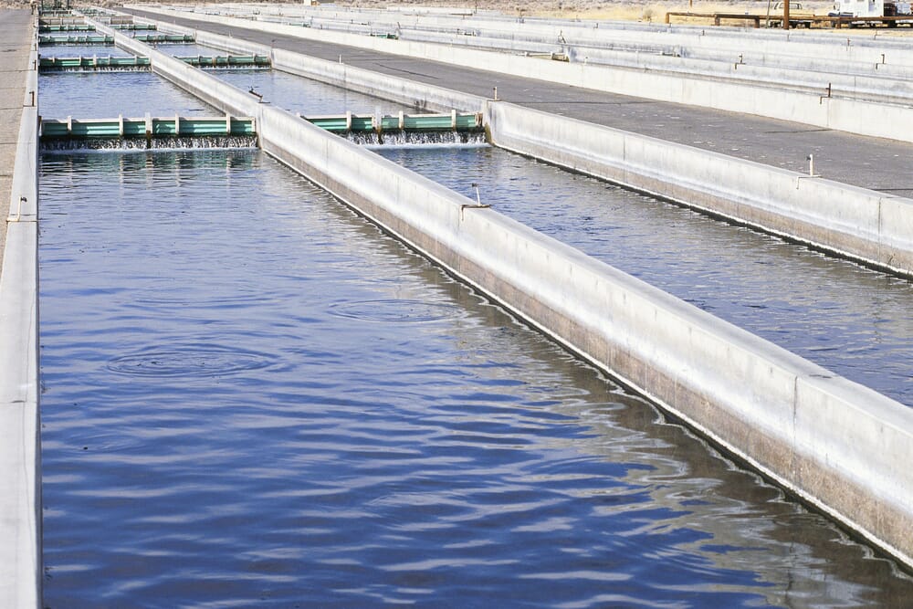 Better Fish Farmer Training to Improve Production | The Fish Site