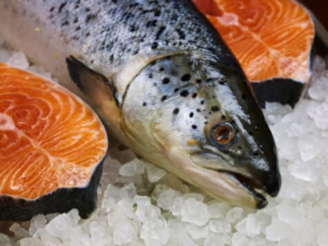 Government committee calls for improved fish slaughtering standards ...