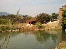 Sino Agro Prawn Farm Prepares for First Stocking | The Fish Site