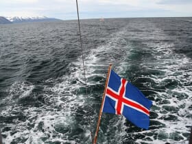 ISF Icelandic Ling Achieves MSC Certification | The Fish Site