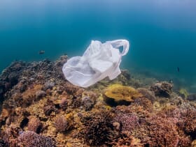 Alaska Fish Factor: Big Alaska Marine Debris Cleanup Begins | The Fish Site