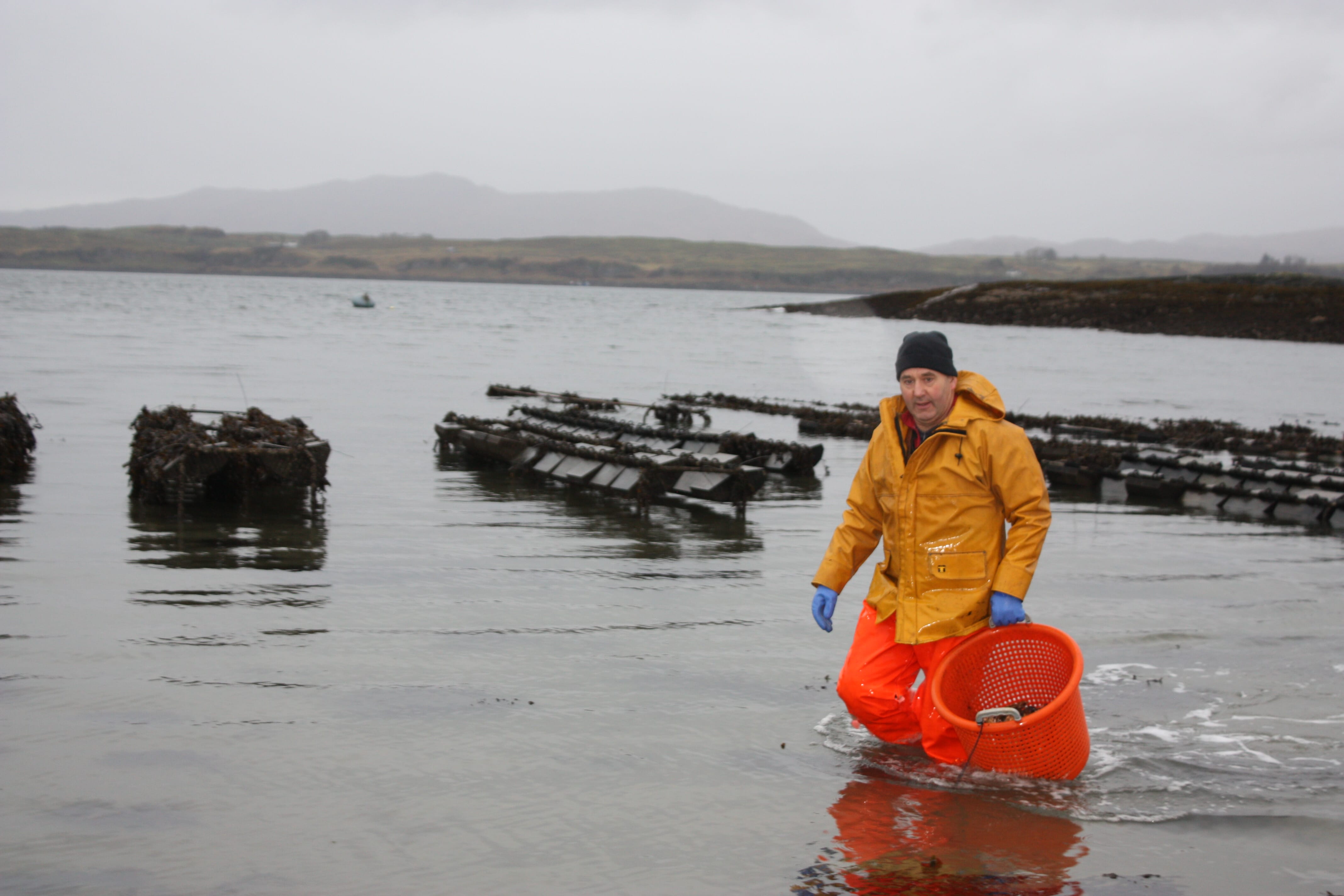 Lifeline for Scottish shellfish and trout farmers | The Fish Site